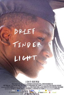 Brief Tender Light | Rotten Tomatoes