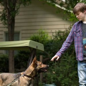 Max - Rotten Tomatoes