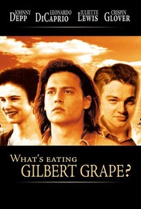 Leonardo DiCaprio - Rotten Tomatoes