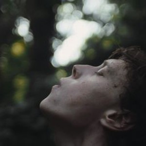 Wolf - Rotten Tomatoes