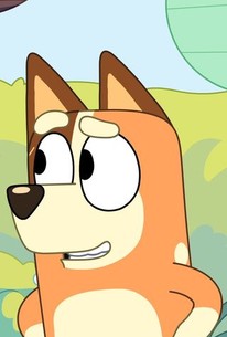 Bluey: Season 3, Episode 3 | Rotten Tomatoes