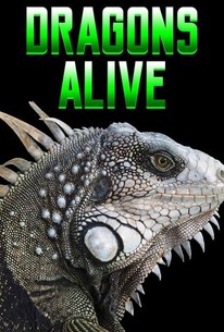 Dragons Alive | Rotten Tomatoes
