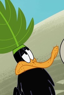 Wabbit: Season 2, Episode 39 | Rotten Tomatoes