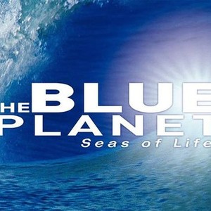 The Blue Planet: Seas of Life - Rotten Tomatoes