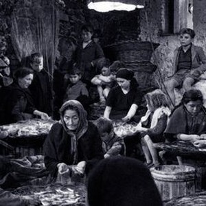 The Earth Trembles - Rotten Tomatoes