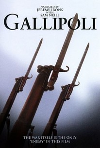 Gallipoli (2005) | Rotten Tomatoes