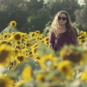 Splinters - Rotten Tomatoes