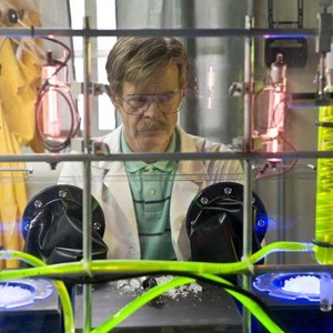 Shorts - Rotten Tomatoes