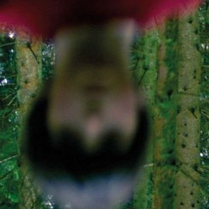 Inland - Rotten Tomatoes