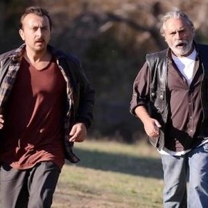 Noah Land - Rotten Tomatoes