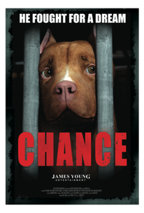 Chance (2019) | Rotten Tomatoes