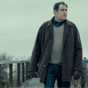 Auggie - Rotten Tomatoes