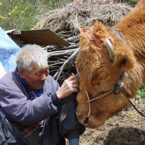 Old Partner - Rotten Tomatoes