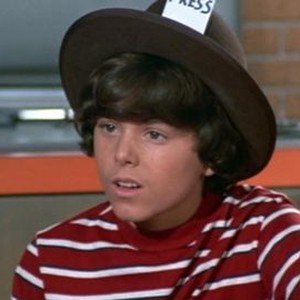 The Brady Bunch: Season 3, Episode 19 - Rotten Tomatoes