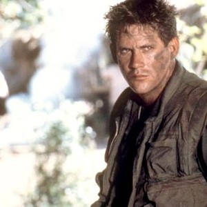 Michael Dudikoff - Rotten Tomatoes