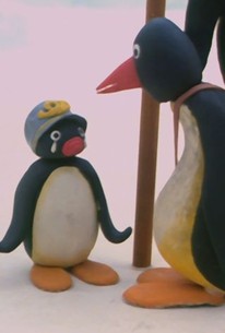 Pingu: Season 1, Episode 5 - Rotten Tomatoes