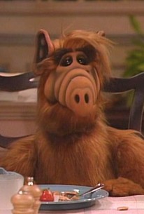 ALF: Season 2, Episode 3 | Rotten Tomatoes