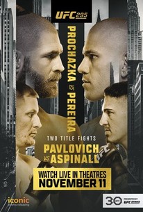 UFC 295: Procházka vs. Pereira | Rotten Tomatoes