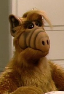 ALF: Season 2, Episode 11 | Rotten Tomatoes