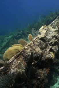 What Sam Sees: Season 1, Episode 10 | Rotten Tomatoes