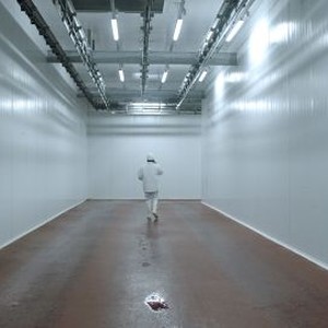 Animal - Rotten Tomatoes