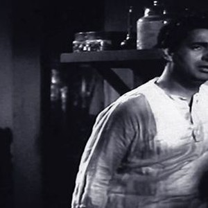 Elan - Rotten Tomatoes