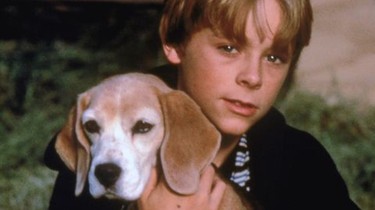 Shiloh The Movie Judd