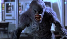 Evolution - Rotten Tomatoes