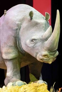 Buddy vs. Duff: Season 3, Episode 1 - Rotten Tomatoes