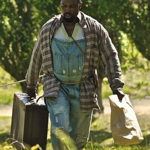 The Whale Caller - Rotten Tomatoes