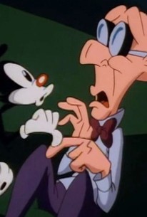 Animaniacs: Season 1, Episode 53 | Rotten Tomatoes