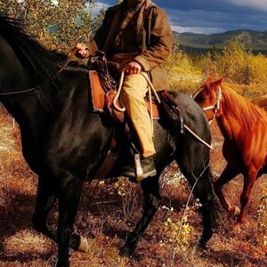 The Last Trapper - Rotten Tomatoes