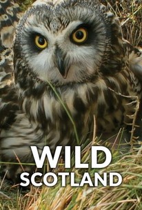Wild Scotland | Rotten Tomatoes