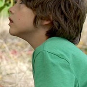 Newtown - Rotten Tomatoes
