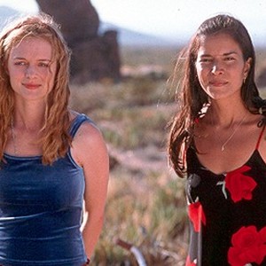 Committed - Rotten Tomatoes