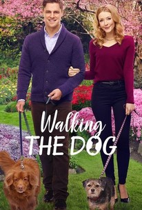 Walking the Dog | Rotten Tomatoes