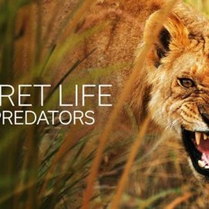 Secret Life of Predators - Rotten Tomatoes