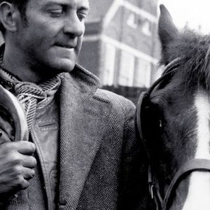 Steptoe and Son - Rotten Tomatoes