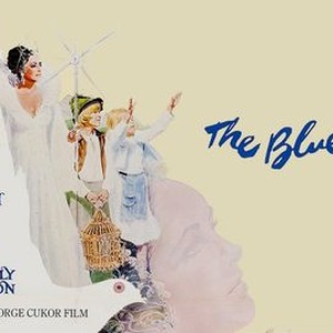 The Blue Bird - Rotten Tomatoes