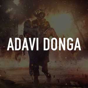 Adavi Donga - Rotten Tomatoes