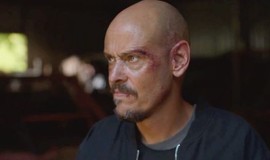 Mr Inbetween - Rotten Tomatoes