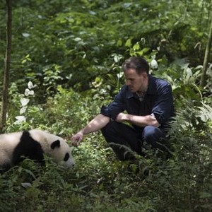 Pandas - Rotten Tomatoes