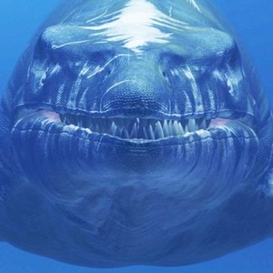 Mega Beasts - Rotten Tomatoes