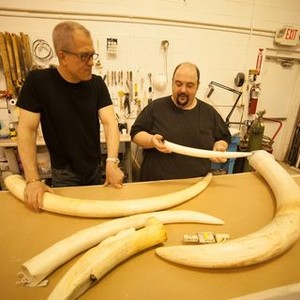 Bryan Christy - Rotten Tomatoes