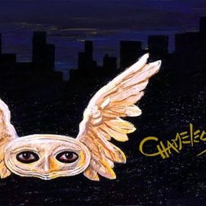 Chameleon Street - Rotten Tomatoes