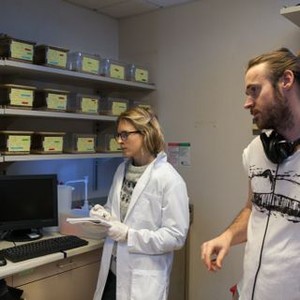 I Origins - Rotten Tomatoes