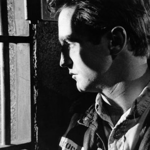 Scott Wilson - Rotten Tomatoes