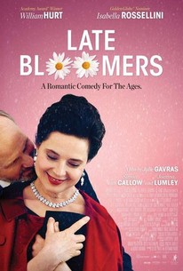 Late Bloomers (2011) | Rotten Tomatoes