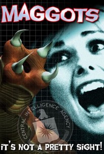 Maggots | Rotten Tomatoes