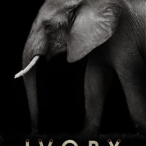 Ivory. A Crime Story - Rotten Tomatoes
